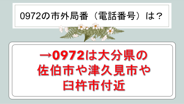 0972の市外局番はどこ？0972-82や-28はどこか（地域）？【電話番号：迷惑電話？佐伯市など大分？】｜白丸くん