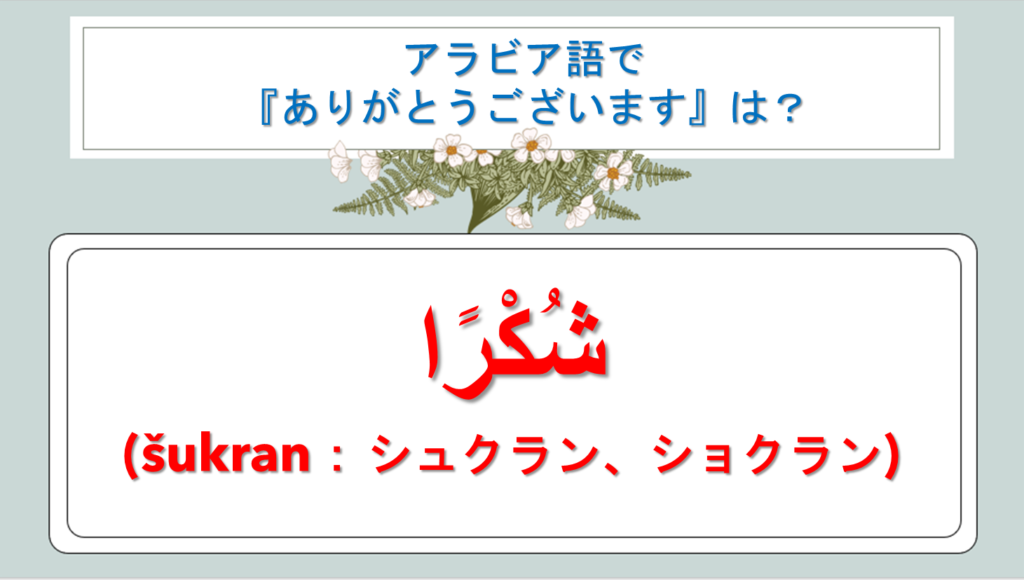 アラビア語でありがとうは？あいさつの書き方・ビジネス・翻訳・丁寧に言う場合や発音・音声も紹介！｜白丸くん